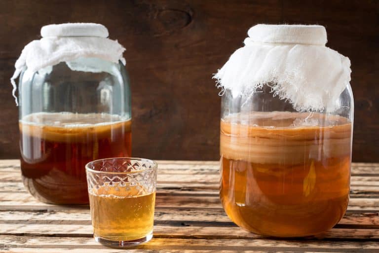 Can You Use Mason Jars for Kombucha? – Home Kitchen Talk