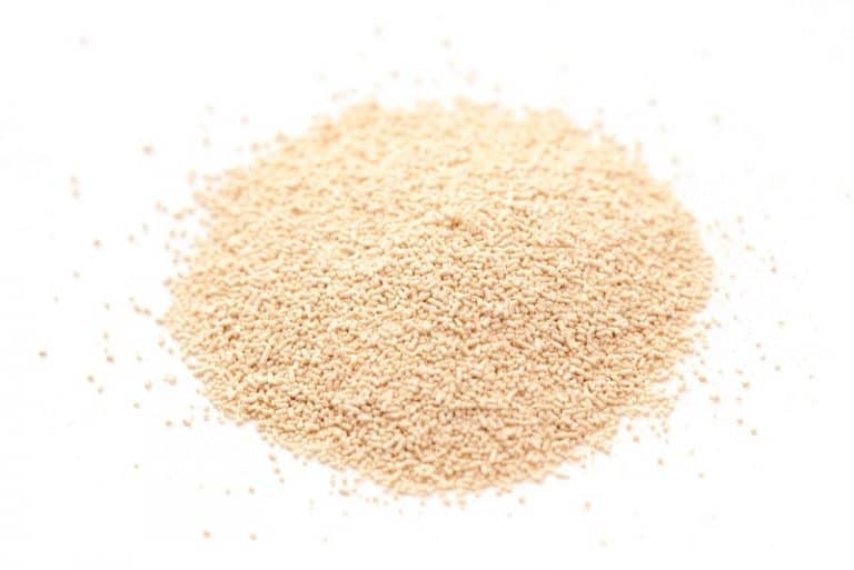 What is Fermento? – Home Kitchen Talk